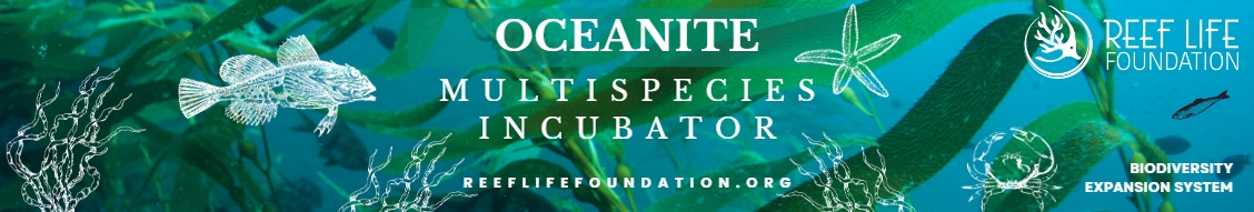 Marine eDNA Biodiversity Results on IntelliReefs Oceanite