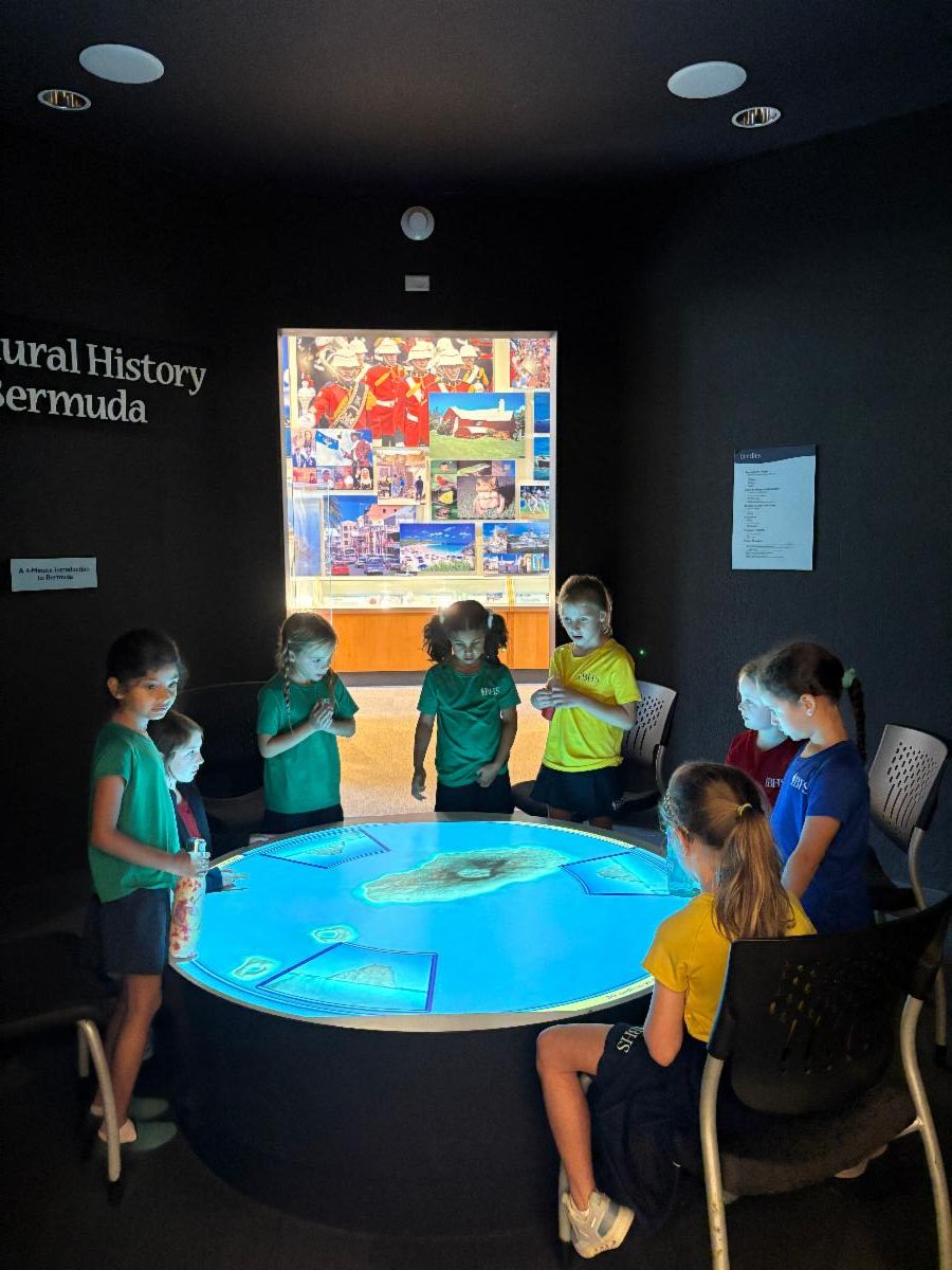 Primary Parent Connection