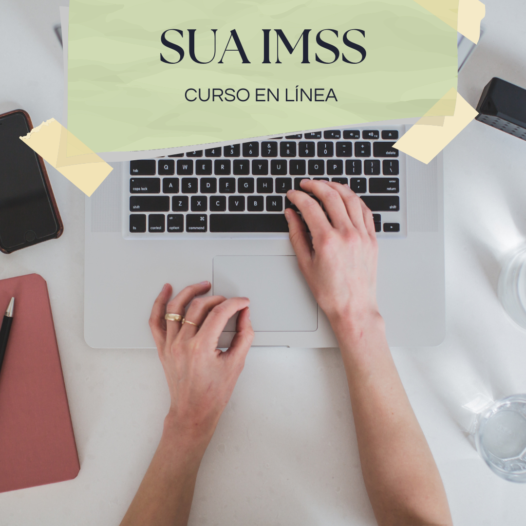 Curso: SUA IMSS en Línea
