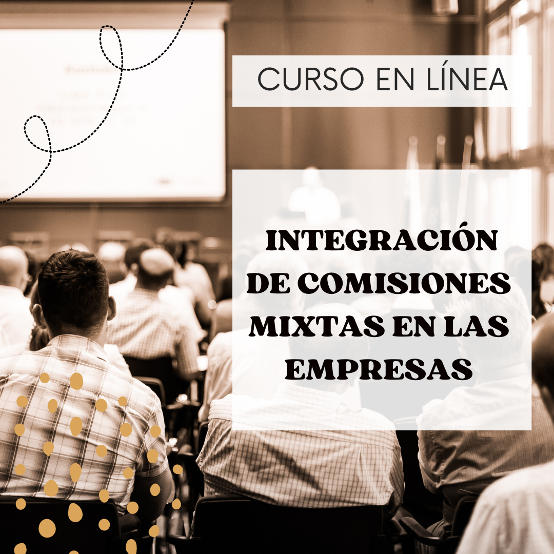 Curso: Integración de Comisiones Mixtas en las Empresas