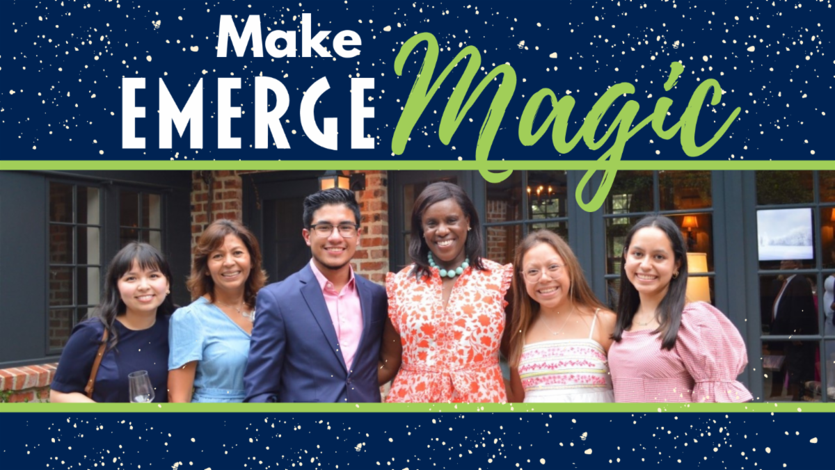 EMERGE Alumni call to action!