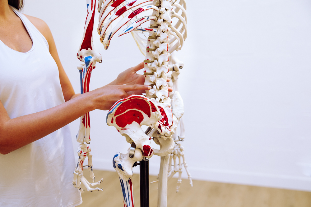 Functional Anatomy Early Bird Discount Valid Until July 28