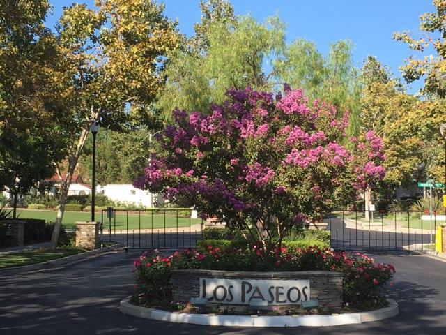 Los Paseos - 2020 Do Not Feed The Ducks