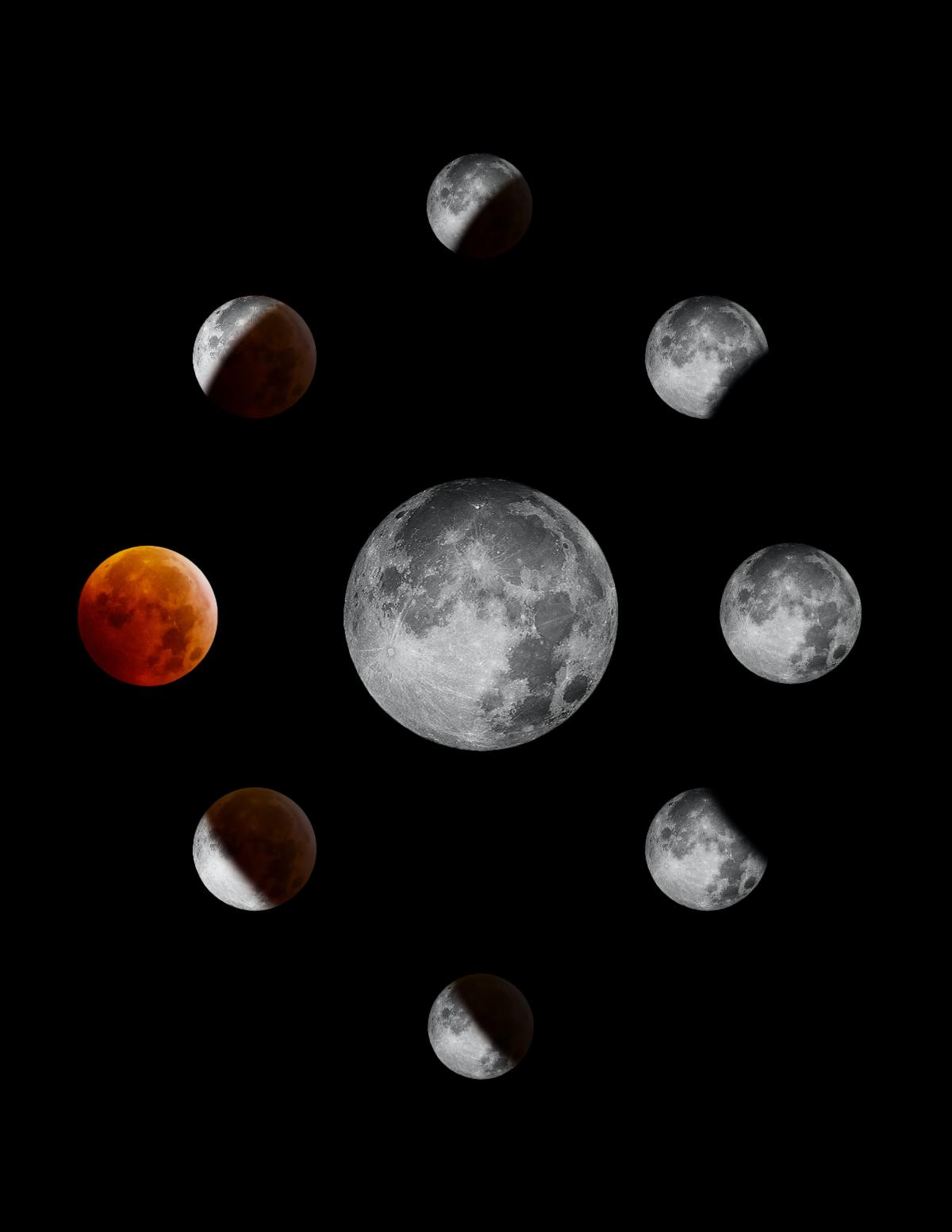 Entering Spring: Season of Rebirth