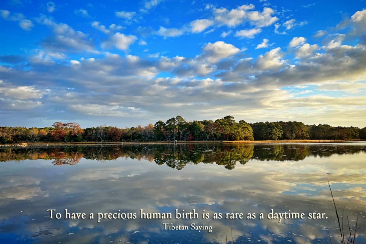 Entering Spring: Season of Rebirth