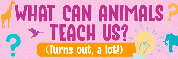 What can animals teach us?