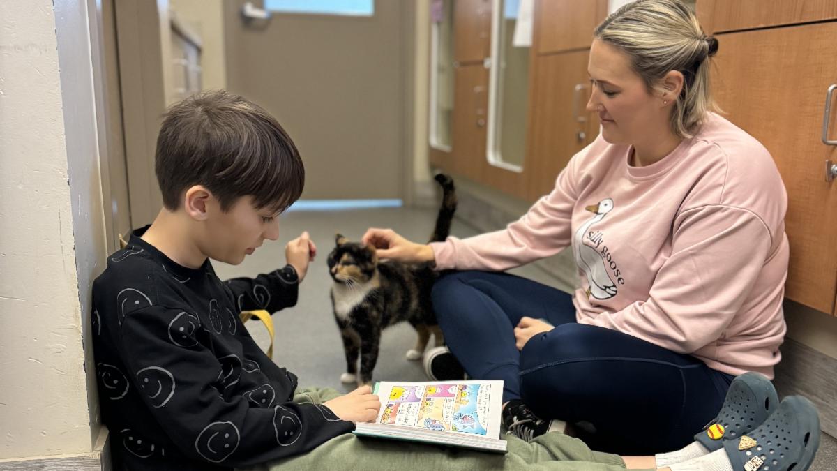 Paws to Read Program - Wednesday, June 12