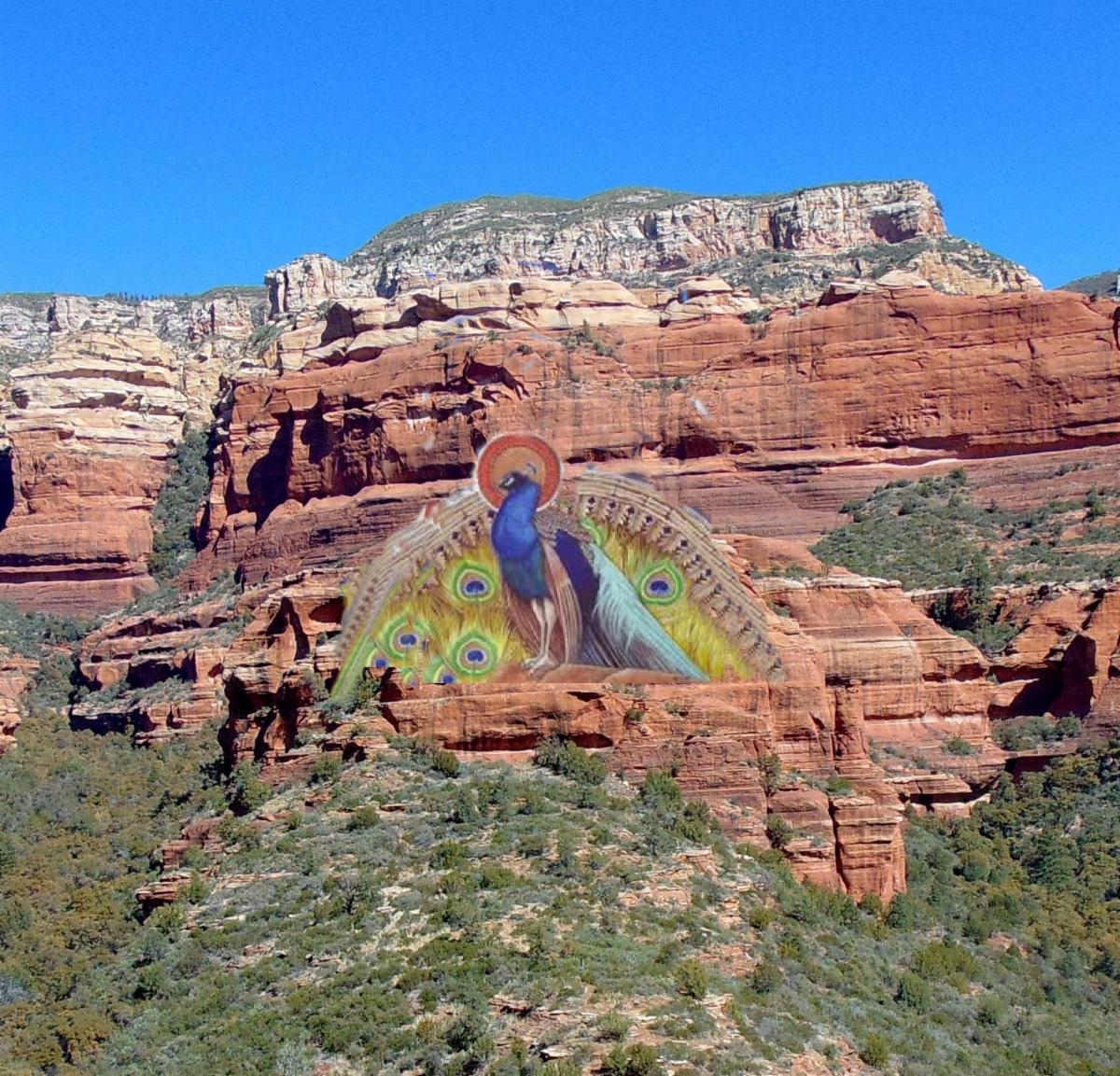 7 Ray Order, Path of the Dragon & Order of the Peacock Angel E-News ...