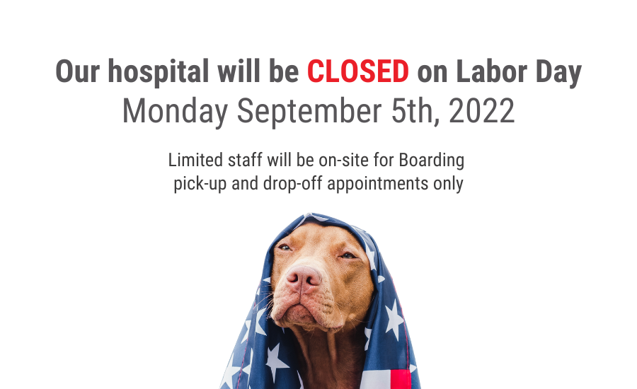 BRVC August Newsletter