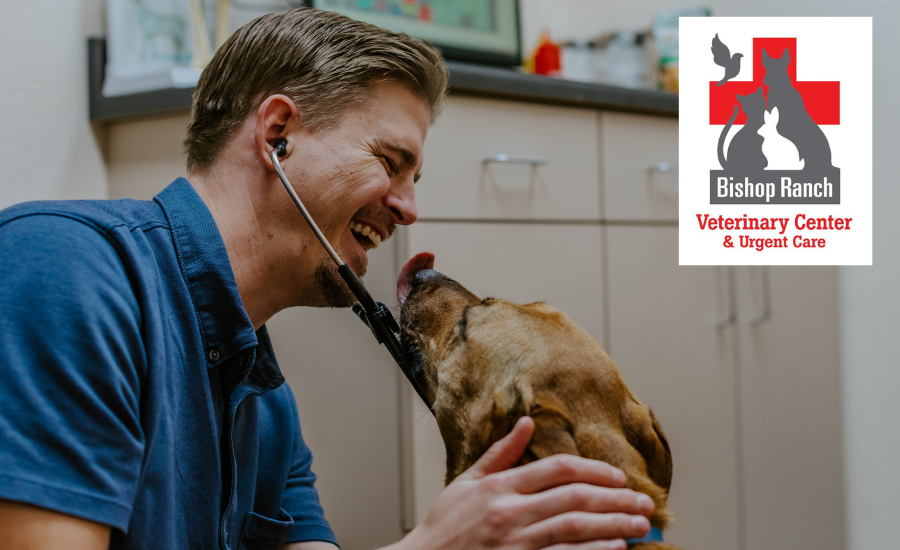 BRVC Canine Reproduction Services Newsletter