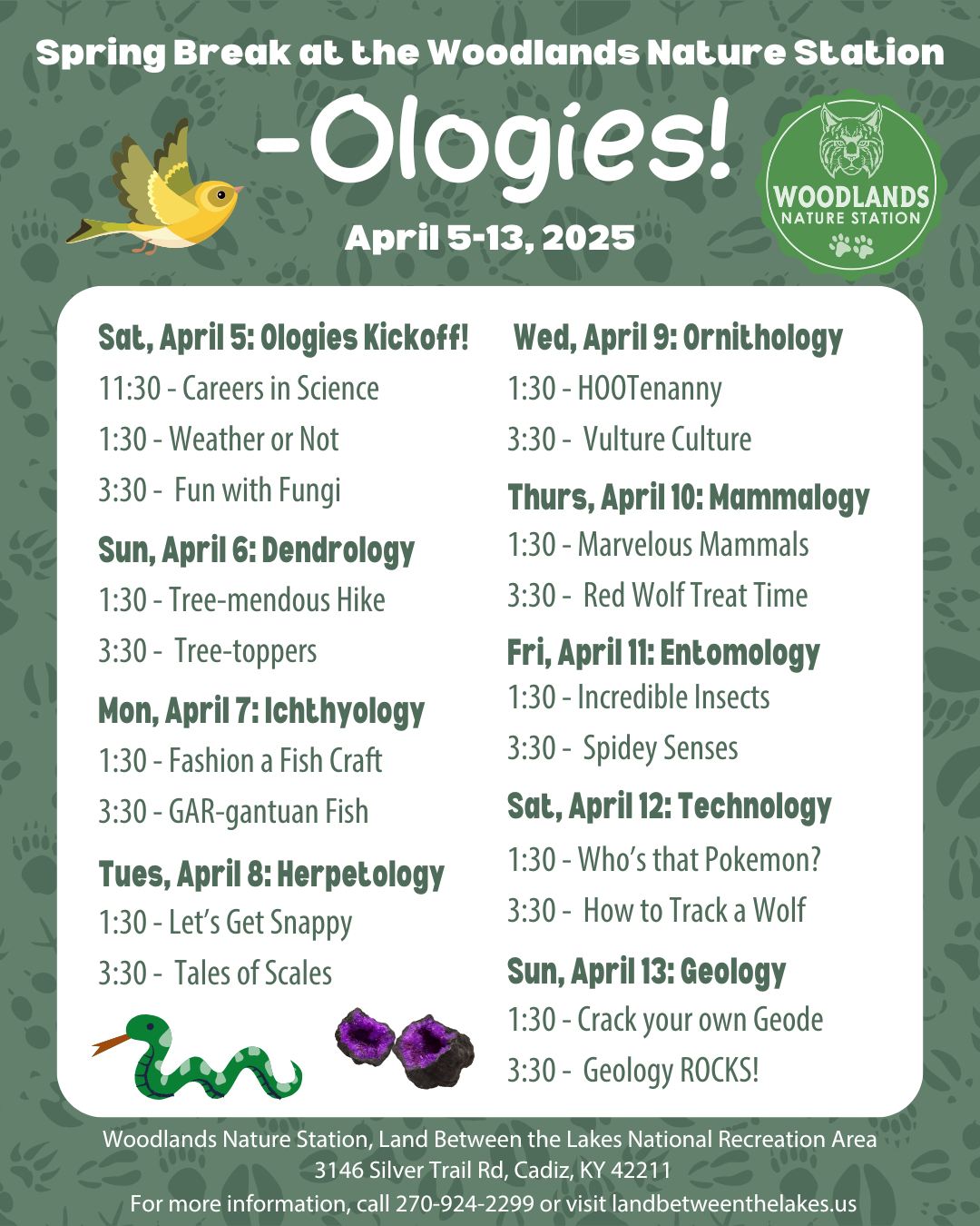 What's Happening at Kentucky Lake