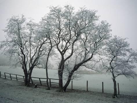 WINTER SEASON DISCOUNTS