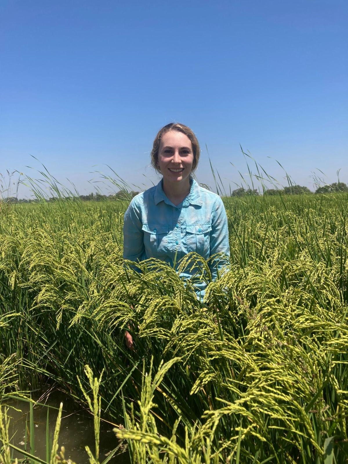 2025 Annual Rice Grower Meetings