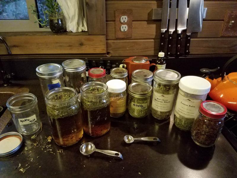 SPRING REJUVENATION DAY #24