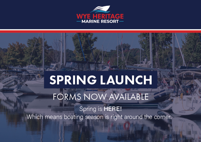 Complete Your 2025 Launch Form