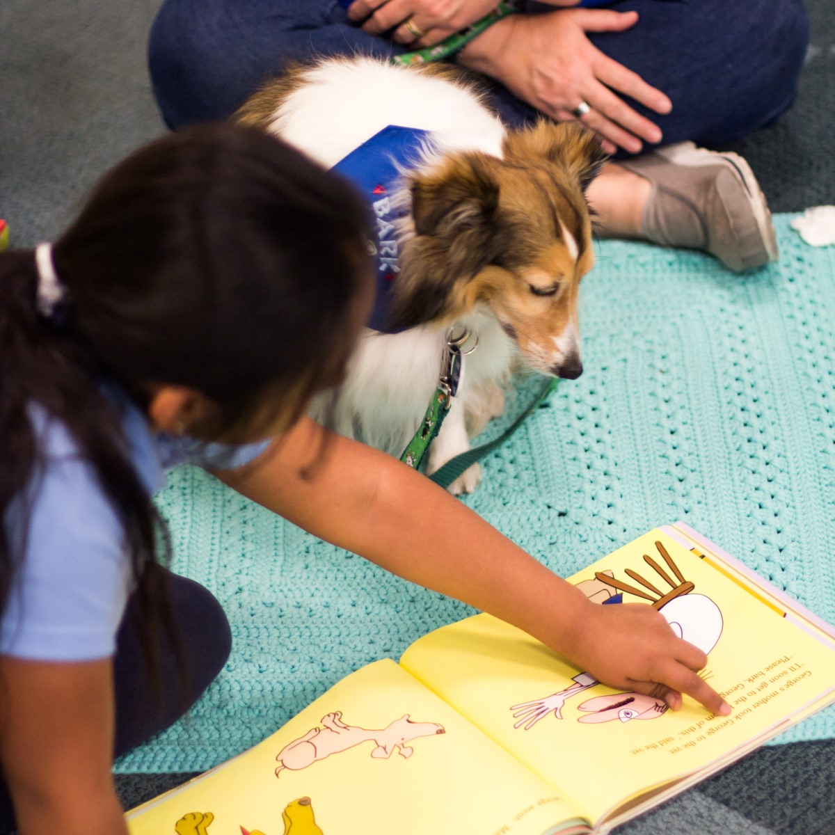 September 19, 2025 - Go Fourth! Friday Newsletter