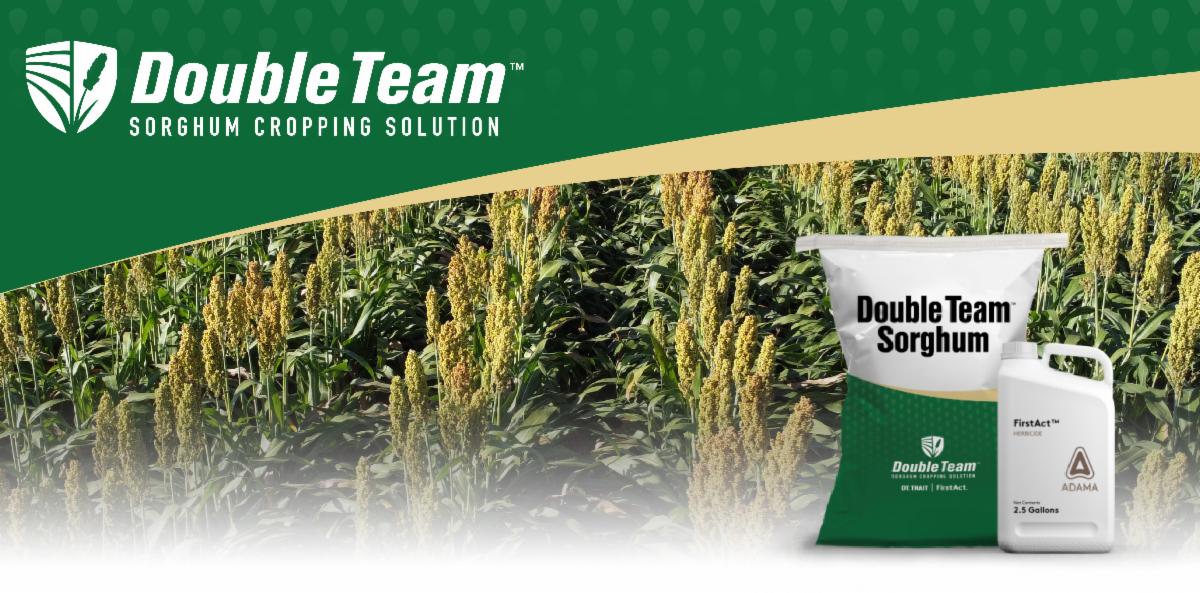 Join Double Team Sorghum At Commodity Classic