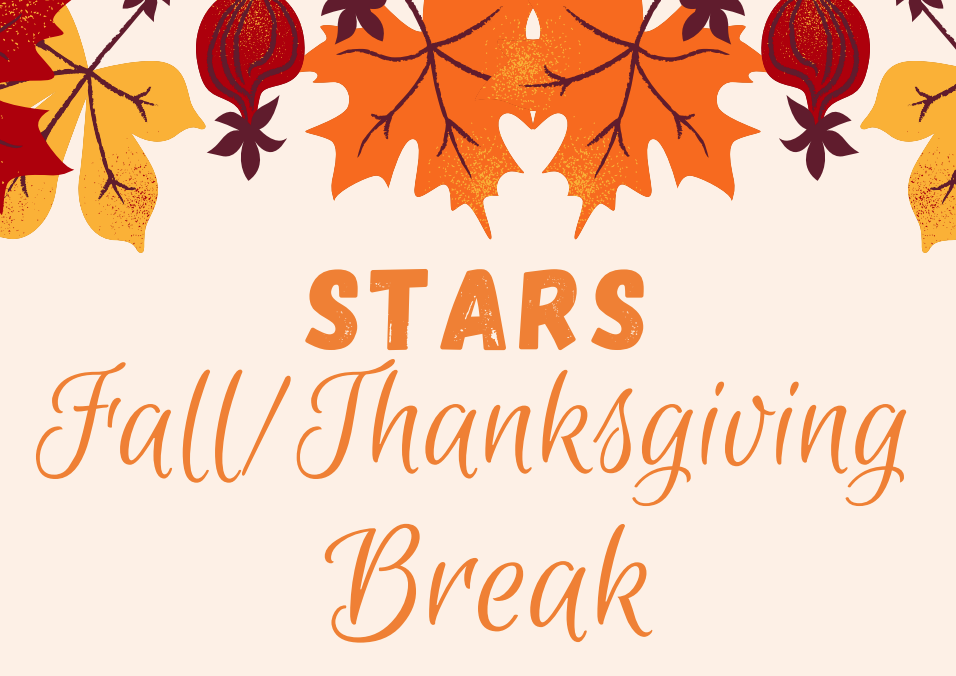 Vote for the Beautification Commission's 2025 Halloween Home Decorating ...