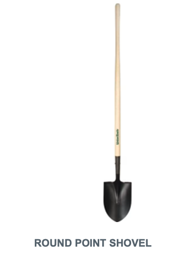 Help Save Florida's Rare Telephus Spurge!