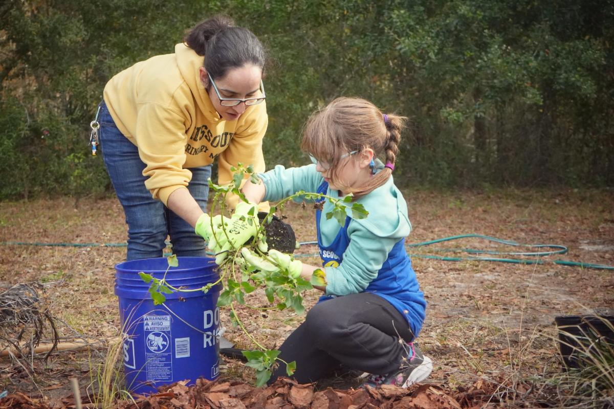 Upcoming planting opportunities and meeting info.