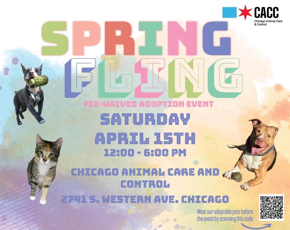 Alderman Nicholas Sposato's 38th Ward Update