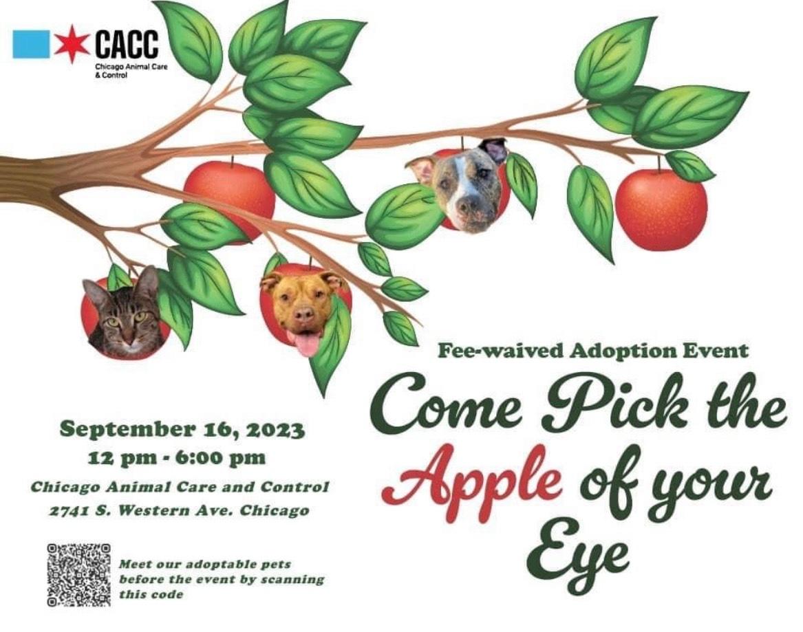 Alderman Nicholas Sposato's 38th Ward Update