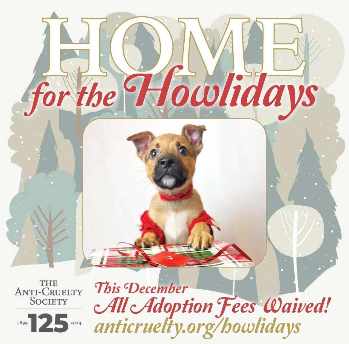 Alderman Nicholas Sposato's 38th Ward Update