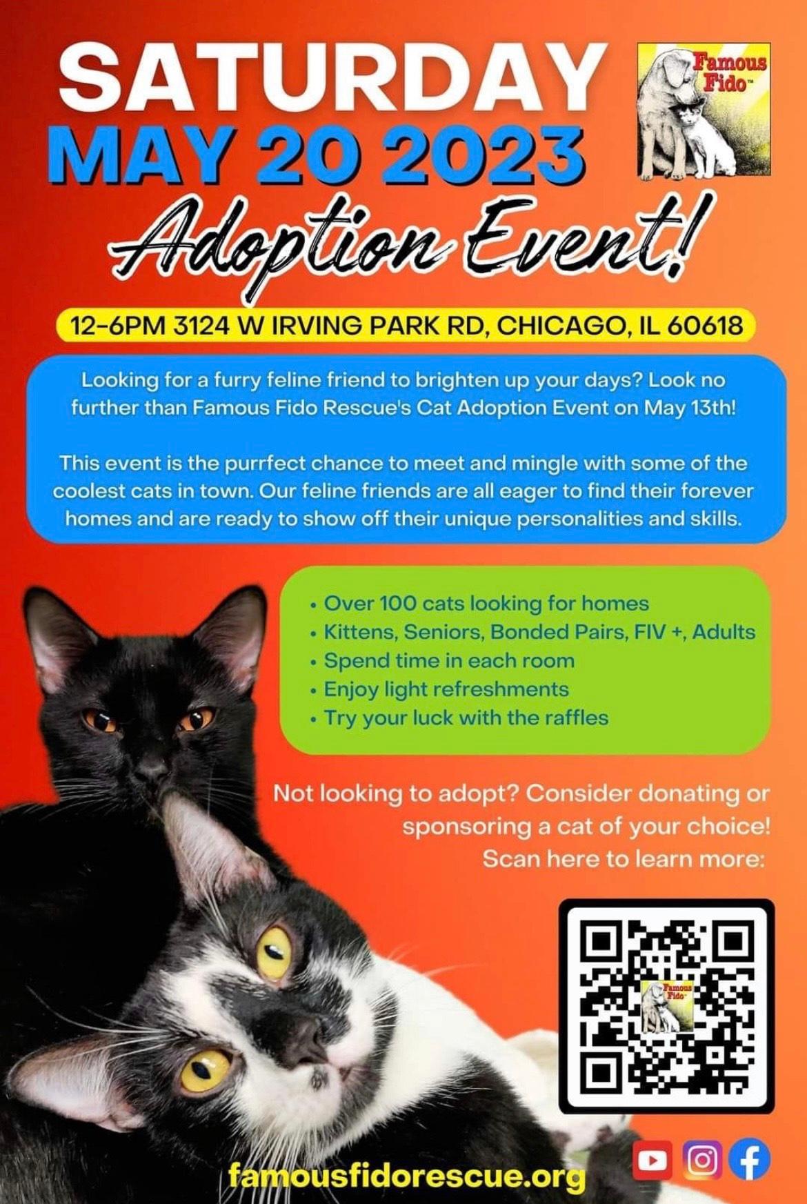 Alderman Nicholas Sposato's 38th Ward Update