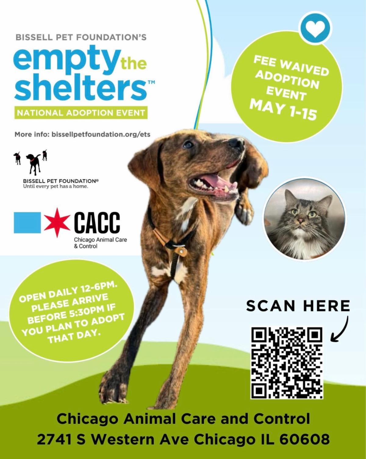 Alderman Nicholas Sposato's 38th Ward Update