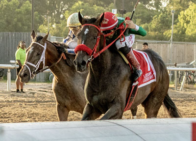 Jason Homer, Shavon Townsend Score Hat Tricks, Keplin Increases Lead in ...