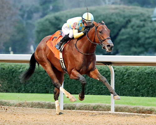 Owner Henry S. Witt Jr. Returning to ASD in Quest for 8th Consecutive ...