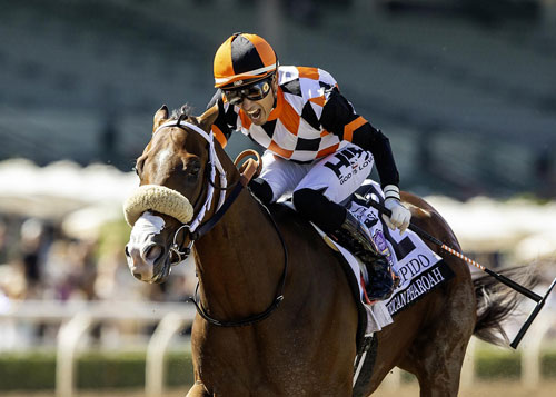 Owner Henry S. Witt Jr. Returning to ASD in Quest for 8th Consecutive ...