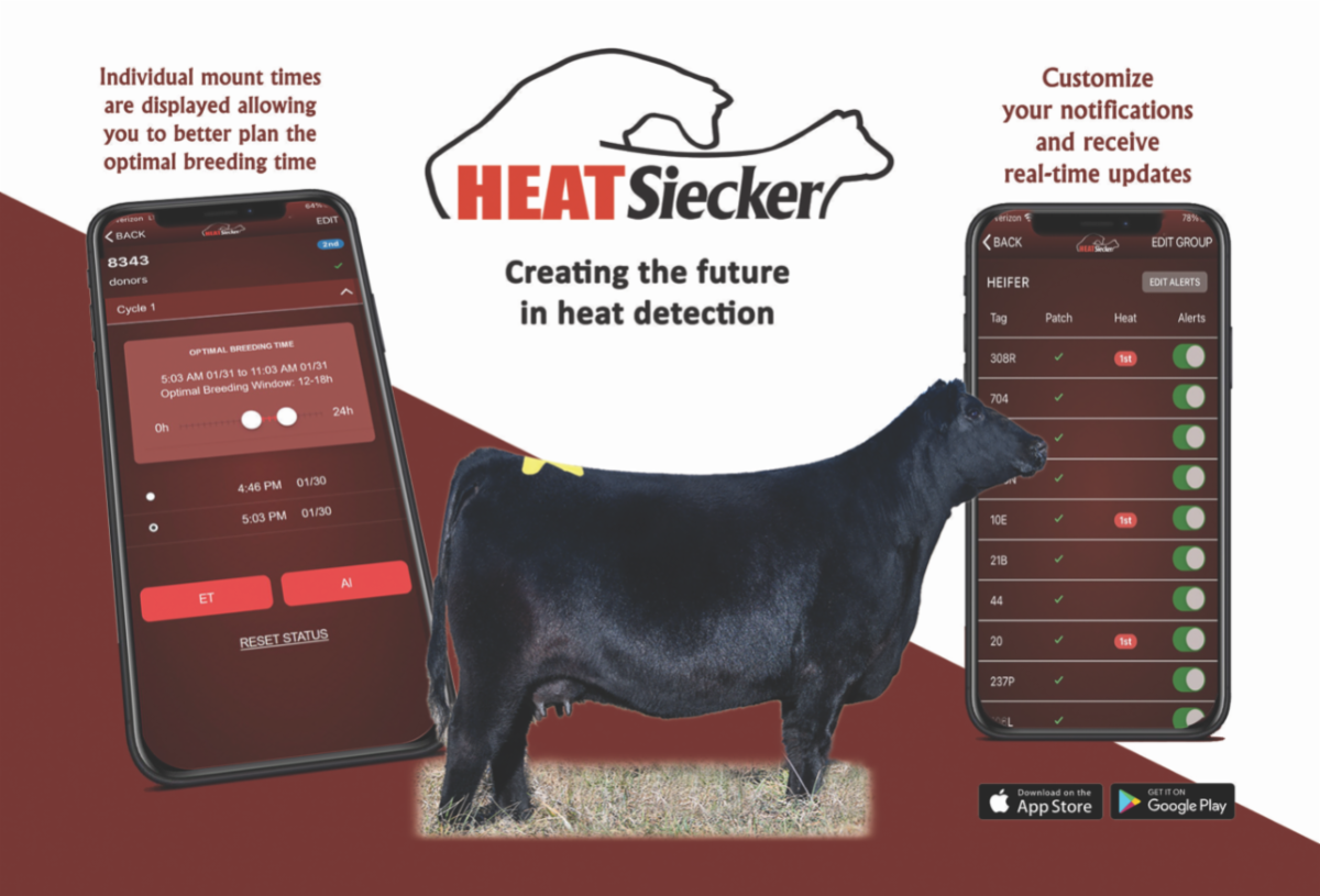 HEATSIECKER - The Revolutionary HEAT DETENTION EQUIPMENT