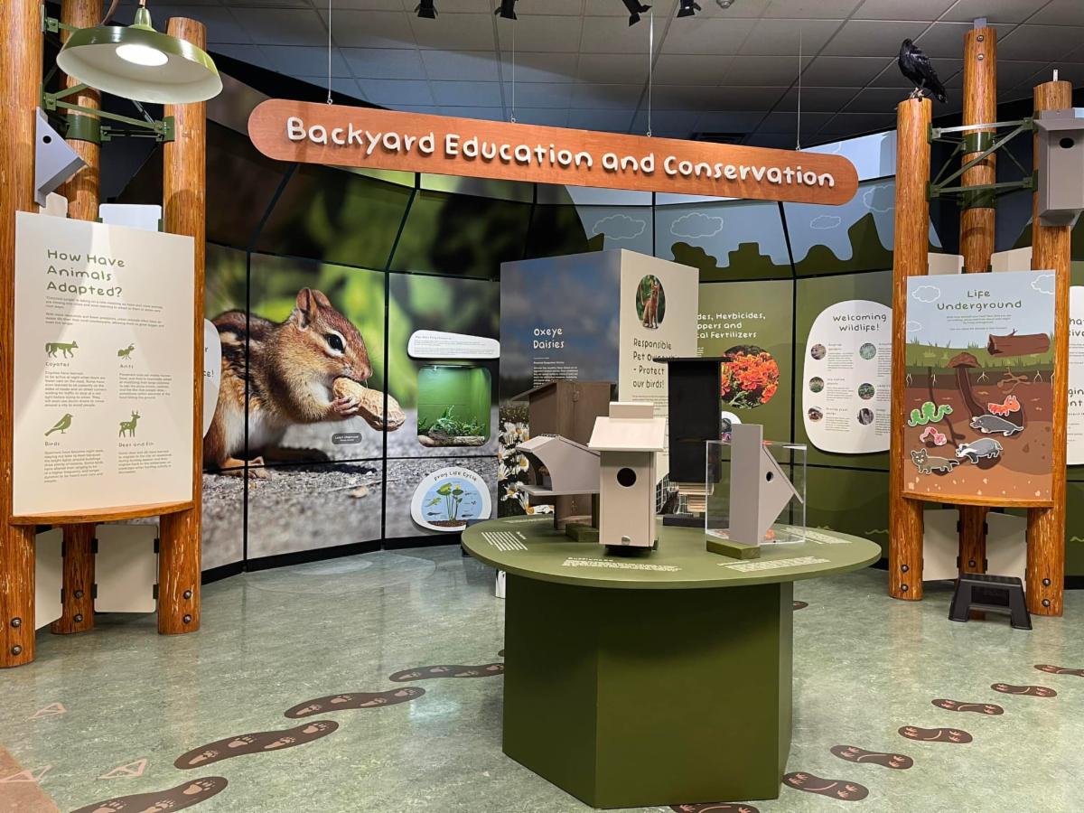 Build Your Own Nature Centre