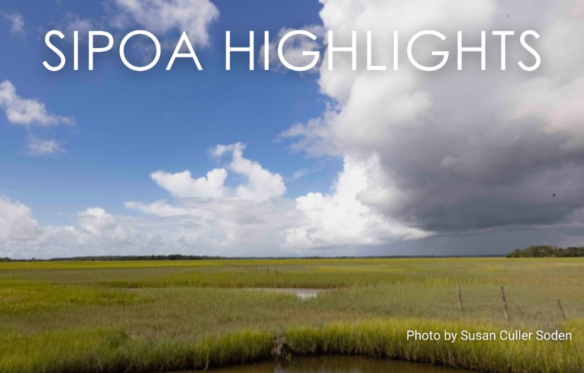 SIPOA Weekly Highlights - 2/21/25