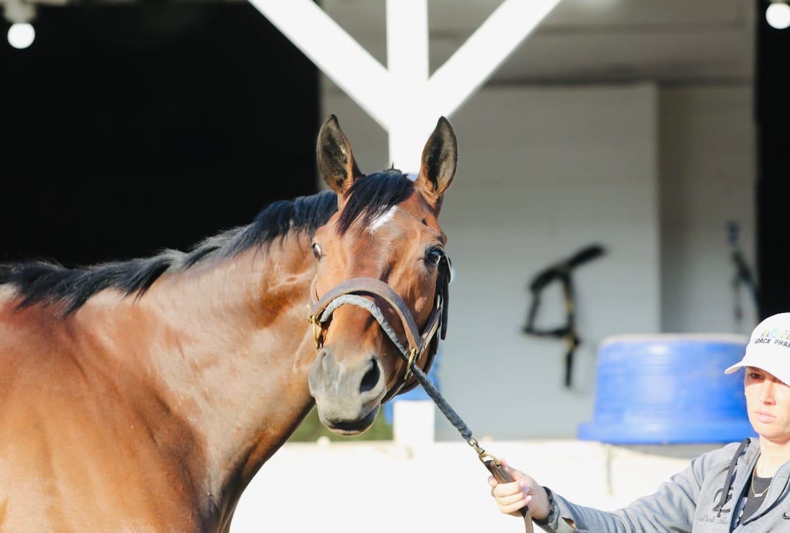 Coteau Grove Farms is all in for Louisiana.