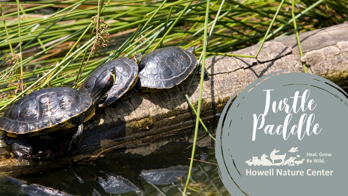 Turtle Paddle June 14th 2025 • 1:00 pm - 3:00 pm