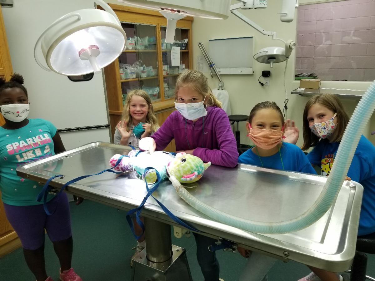 Vet Camp & Wildlife Camp 2025 Early Registration OPENS @ 8am