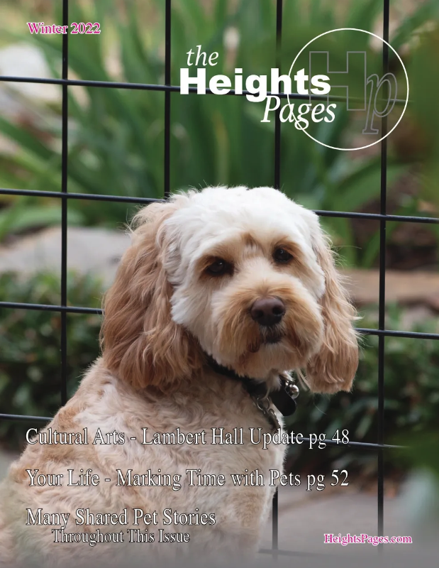 19th Anniversary Art Market