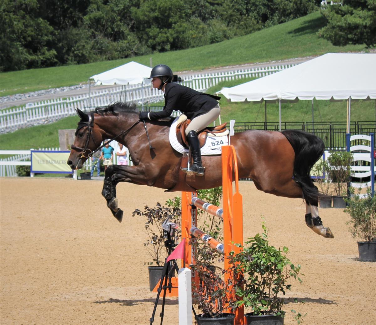 Virginia Horse Center Foundation Fall 2022 Newsletter