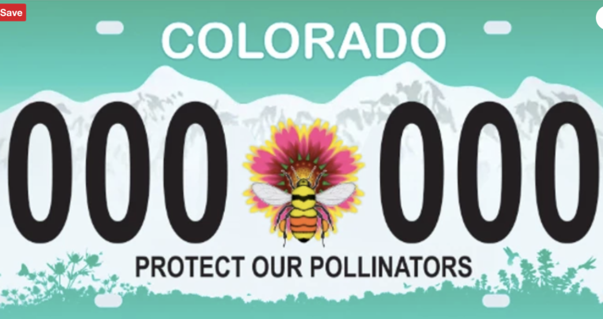 Environmental Affinity Group (EAG) Newsletter