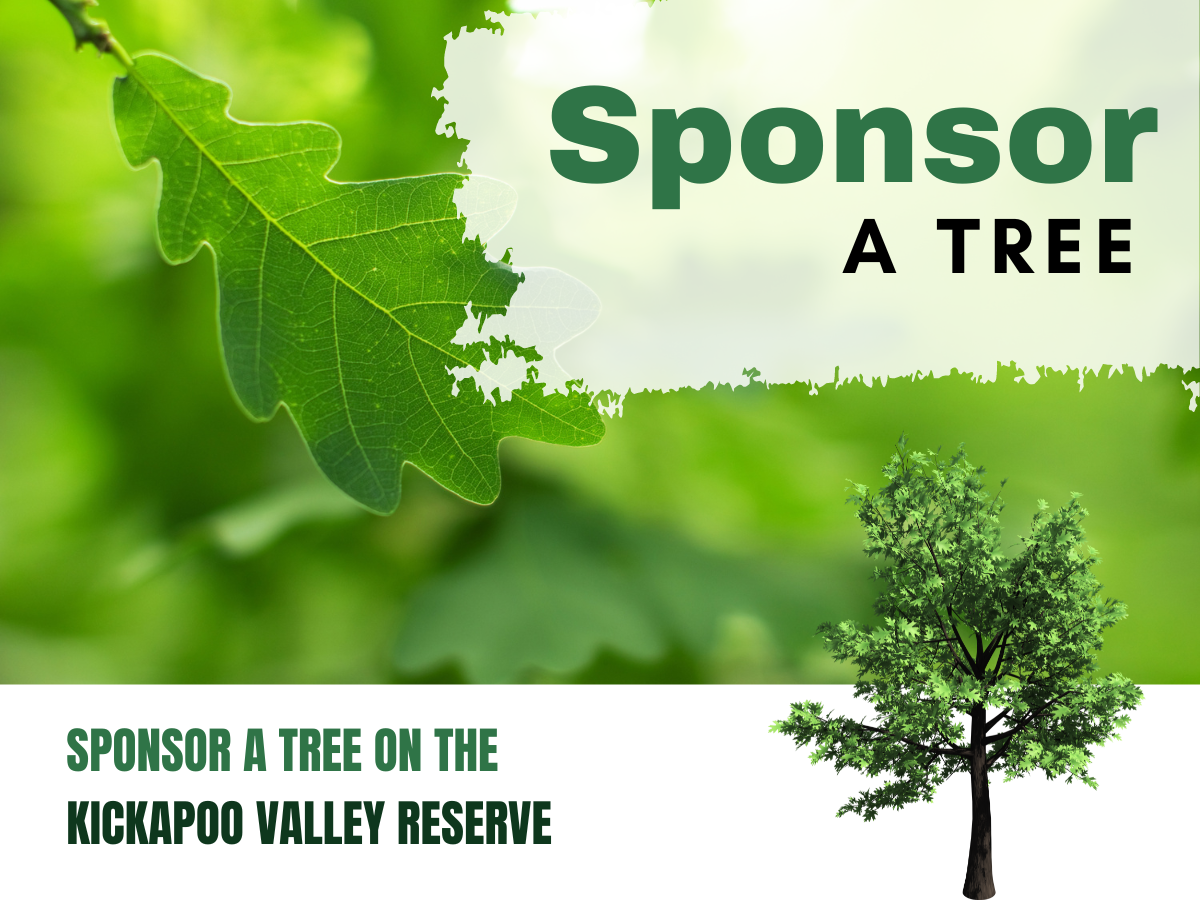 Kickapoo Valley Reserve November Outreach