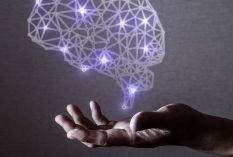 Feb CEs for RN, SW, Case Managers