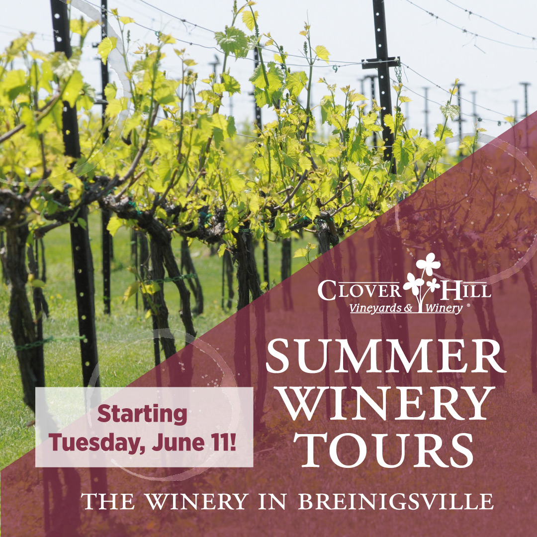 Email from Clover Hill Vineyards & Winery