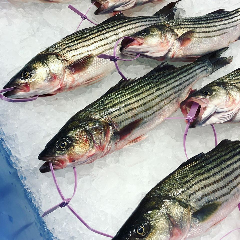 Spotlight: Fresh Grouper, Fresh Mahi-Mahi, & Fresh Venezuelan Crab Meat!