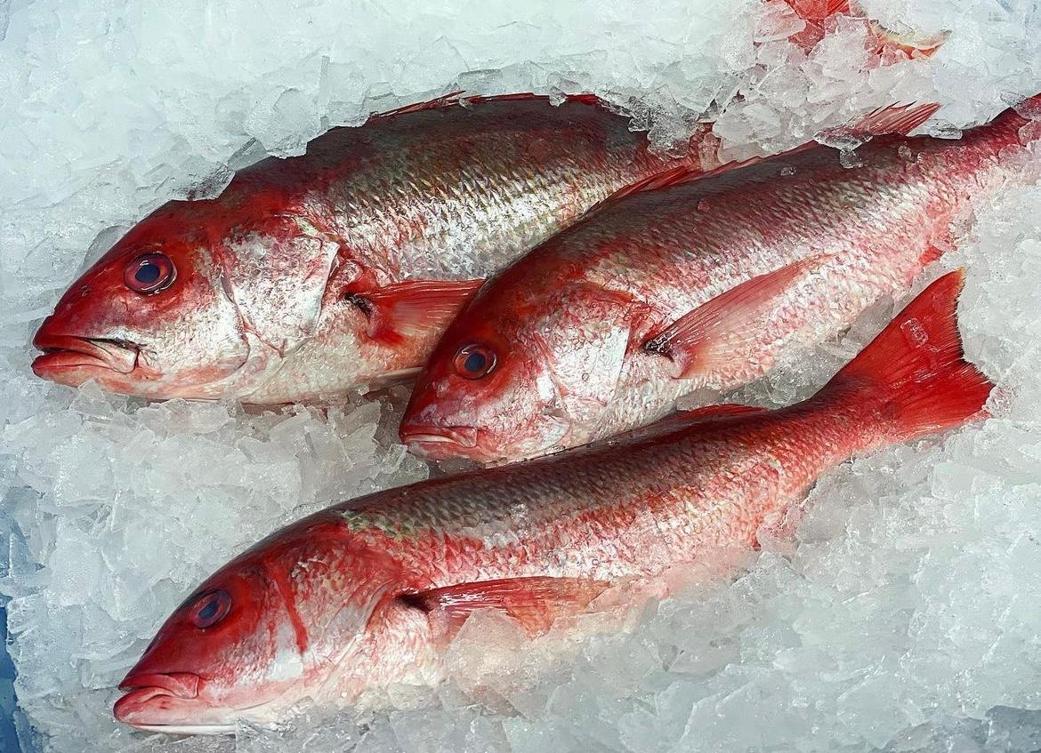 All of your local favorites can be found here 🐟