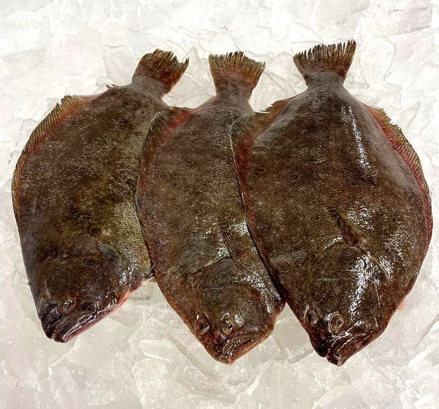 What's On Deck! Soft Shell Crab Nuggets, Bluefin Tuna, NC Puppy Drum ...