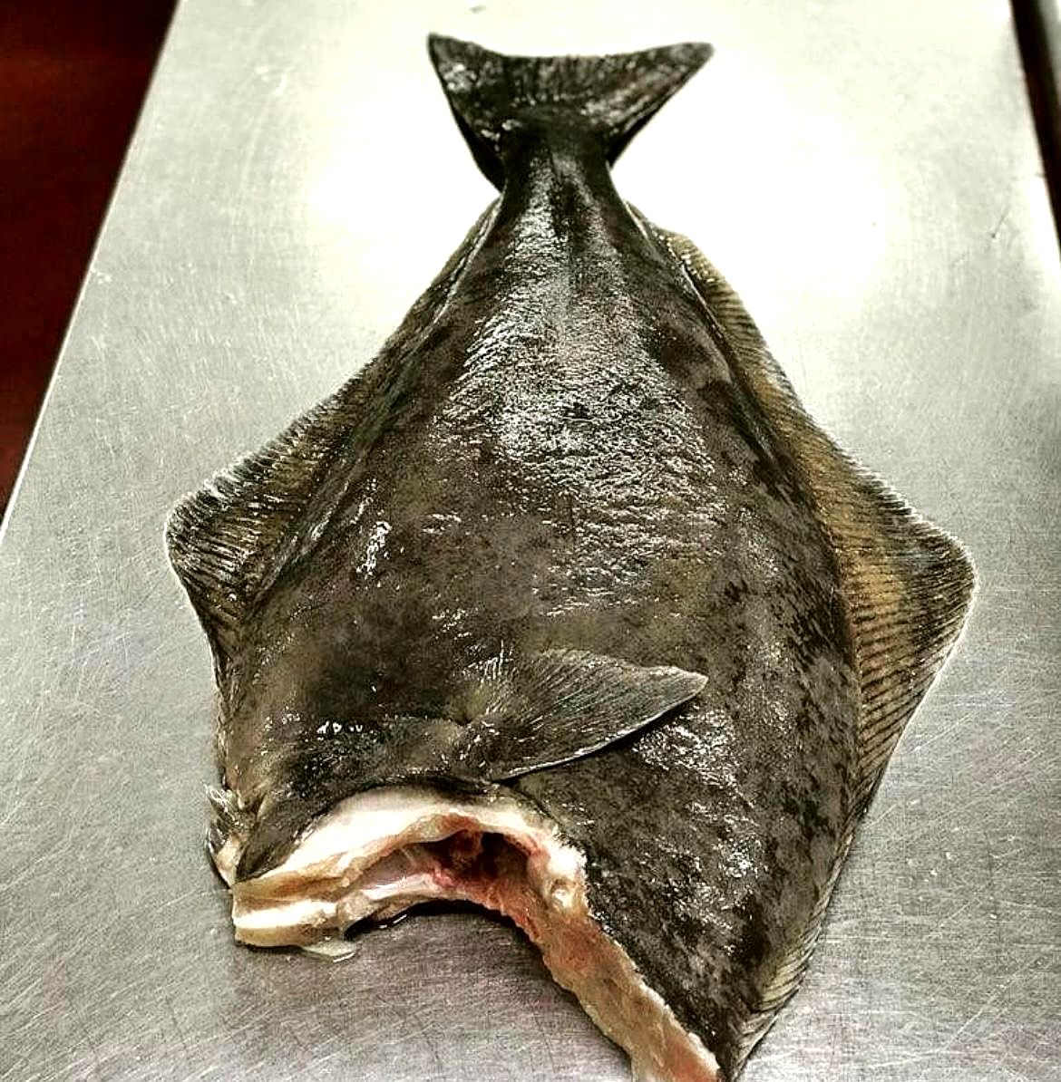 What's Fresh: King Salmon, Tai Snapper, Hatteras Salts Oysters, and More!