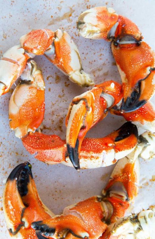 What's Fresh: Golden & Grey Tile, Jonah Crab Claws, Puppy Drum, and More!