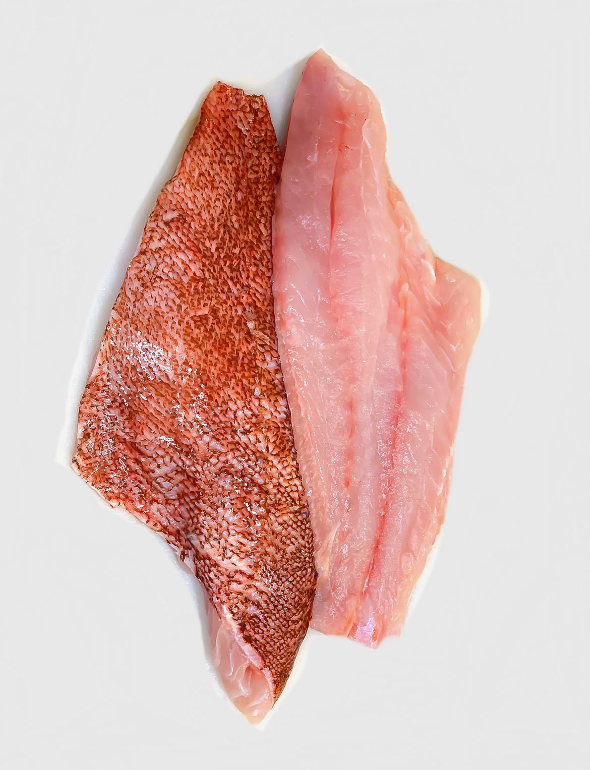What's Fresh: King Salmon, Tai Snapper, Hatteras Salts Oysters, and More!